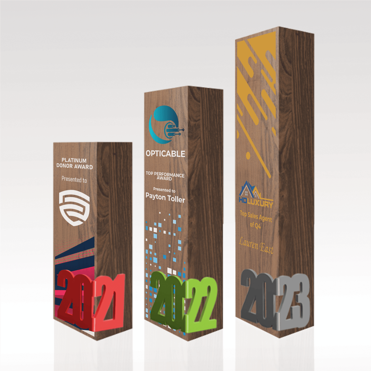 A Peek Behind the Art of Recognition with Visions Awards